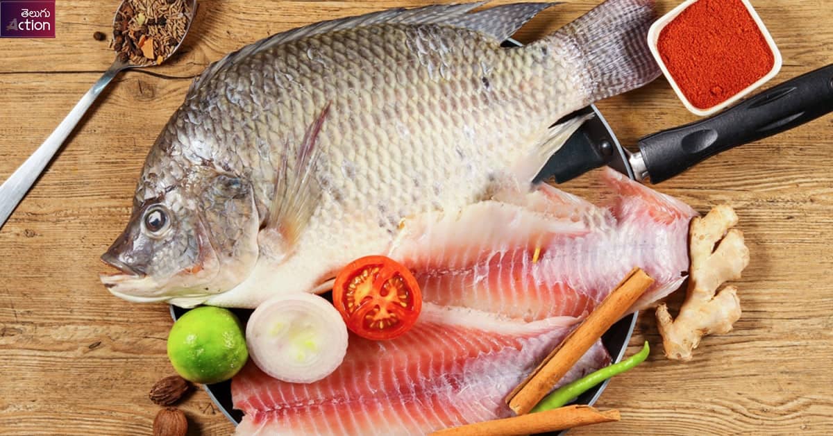 Apollo Fish, Benefits, Rate in Telugu: అపోలో ఫిష్ వల్ల కలిగే ఉపయోగాలు